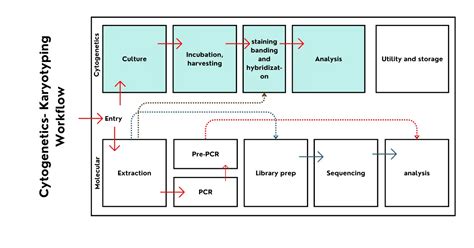 genetic lab tour 101 departments workflow and testing genetic education