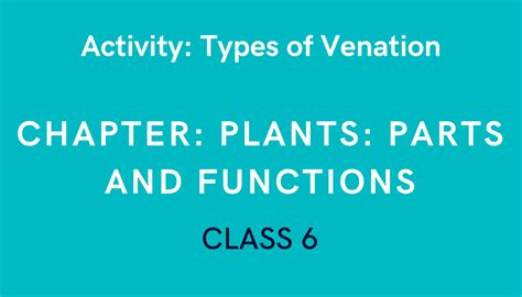 Types Of Venation In Plants Parts And Functions Class 6 Science