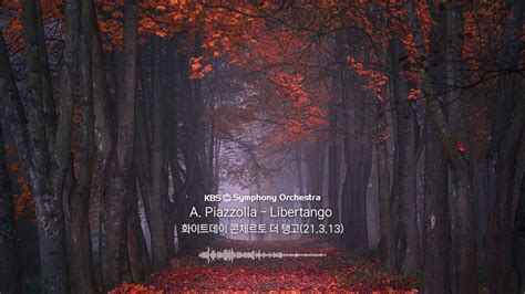 광고없음 Playlist 🍂쌀쌀한 가을에 듣는 쓸쓸한 클래식 명곡 모음🥺 Youtube