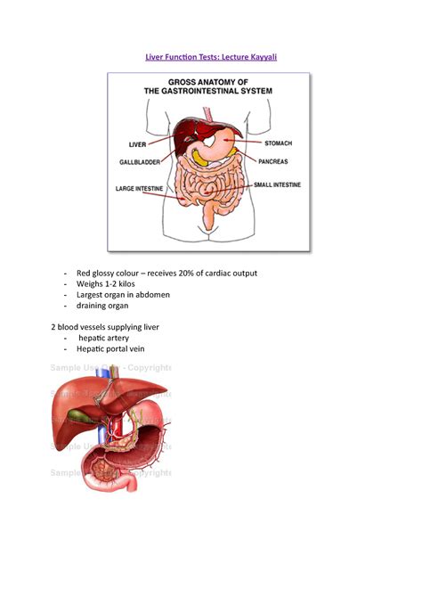 Liver Function Tests In Depth Lecture Notes Py Liver Function Tests Lecture Kayyali