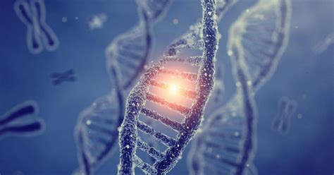 Nucleotides Structure Mcat