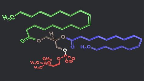 Lecithin Structure