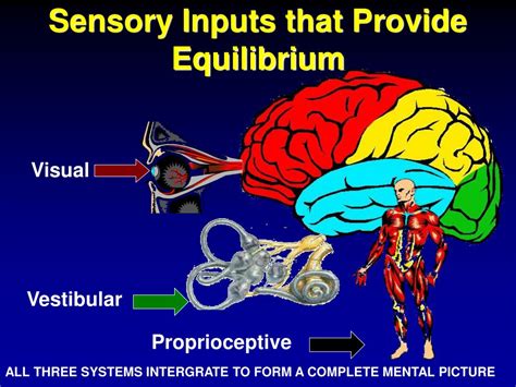 Ppt Spatial Disorientation Powerpoint Presentation Free Download Id 5505461