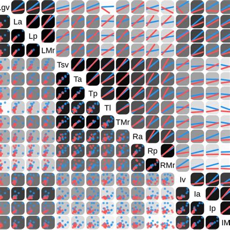 Our Splom Design From The 41 Different Morphological Measures 16 Are