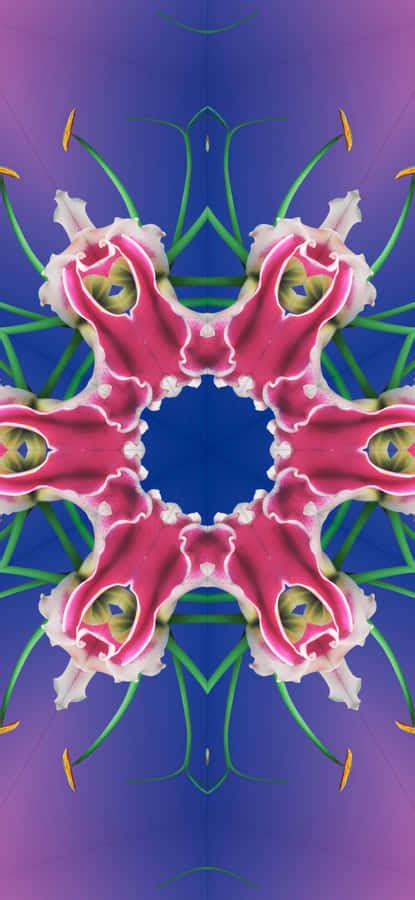 Stunning Sunset Over The Ocean Captured On Ios 17 Wallpaper Wallpapersok