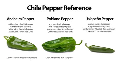 Hatch Chile Verde A Pinch Of Salt Lake