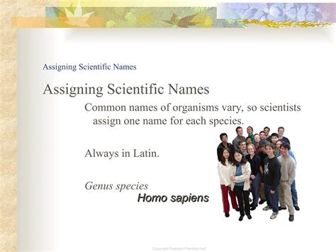 Classification Ppt Ppt