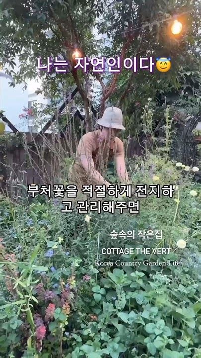 나는 자연인이다 숲속의작은집 정원가꾸기 가드닝 정원사 로지한 Youtube