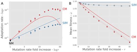 Adaptation With Strong Mutation When The Deleterious Mutation Rate Is Download Scientific