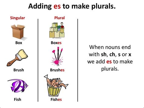 Singular And Plural Nouns Online Presentation