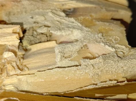 リフォーム リノベーション 玄関框交換工事 住宅点検 はやき風