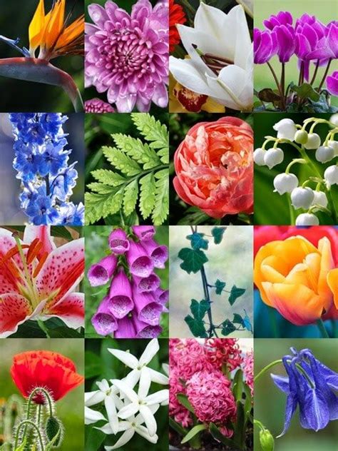Bouquet Flowers That Are Toxic For Cats Lovely Greens Garden Living And Making