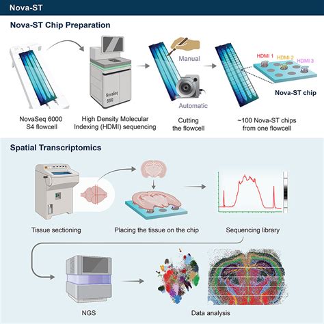 Nova St Nano Patterned Ultra Dense Platform For Spatial