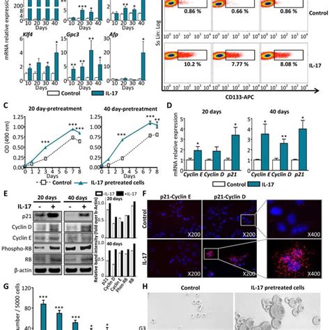Long Term Stimulation Of Lpcs By Il 17 Triggers Their Malignant Download Scientific Diagram