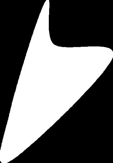 Examples Of Blob Simulated Shapes With Four Levels Of Complexity