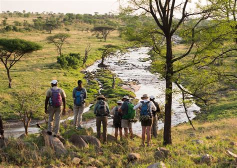 Serengeti Safaris Tours Holidays And Travel Packages Safari Frank