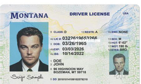 Georgia Scannable Fake Id Front And Back Buy Fake Id Best Scannable