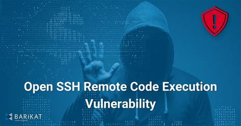 Security Vulnerability Reports Barikat