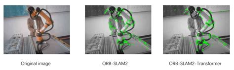 Typical Examples For The Results Of Dynamic Points Projection On