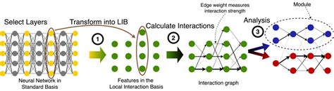 The Local Interaction Basis Identifying Computationally Relevant And Sparsely Interacting