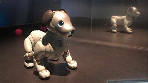 Imtiaz Adam On Linkedin Ai Machinelearning Deeplearning Datascience Fintech Wef Davos