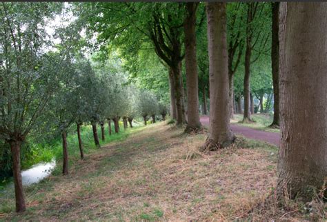 Affinity Photo V1 Bugs Found On Windows Affinity Forum