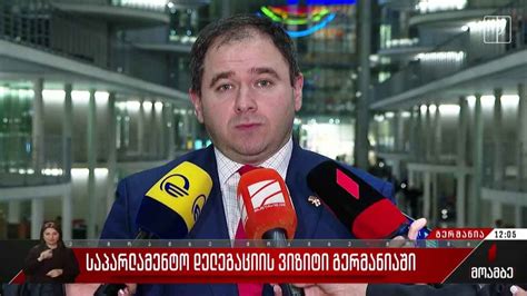 საპარლამენტო დელეგაციის ვიზიტი გერმანიაში Youtube