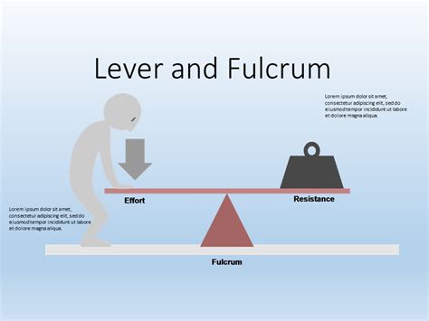 Lever And Fulcrum Principle At Lily Bolton Blog