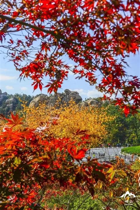 如此走过崂山四季浪漫至极 青岛崂山风景区