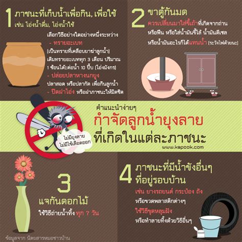 Infographic รูปภาพ สุขภาพ 4 วิธีง่าย ๆ ที่จะช่วยกำจัดลูกน้ำในบ้าน