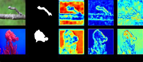 Visualization Of The Learned Features About The Highfrequency And