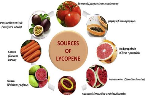 Function Introduction And Application Of Lycopene R Medicalinstruments