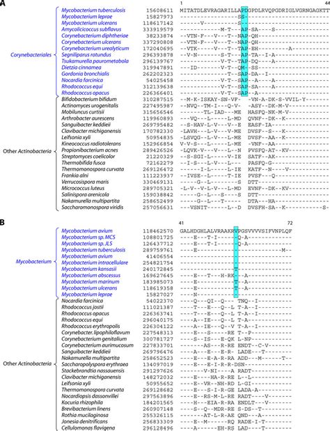 A Partial Sequence Alignment Of A Macrolide Abc Transporter