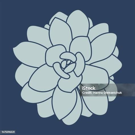 즙이 많은 실루엣 사막 꽃 스케치입니다 윤곽선 그리기 공장 즙이 많은 낙서 스타일 무늬 공장 산업 건물에 대한 스톡 벡터 아트 및 기타 이미지 Istock