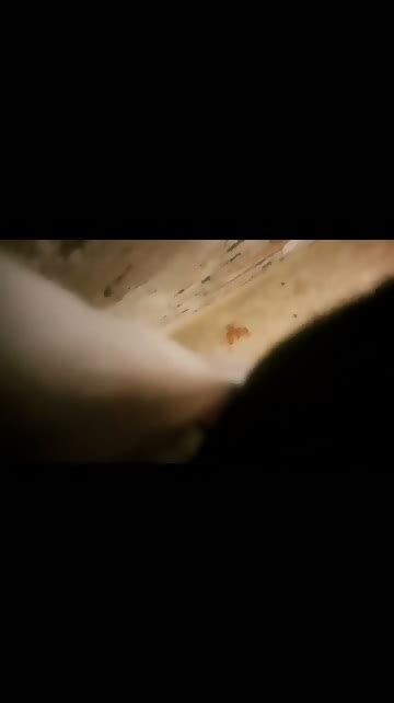 Village Lovers Fucking Outdoor Eporner