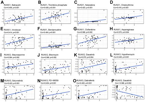 Prognostic Value And Immune Characteristics Of RUNX Gene Family In Human Cancers A Pan Cancer