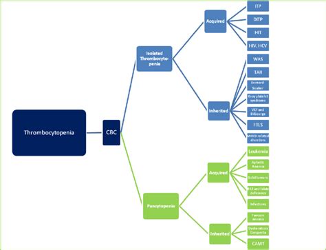 Thrombocytopenia Diagnostic Algorithm Starting With The Complete Blood