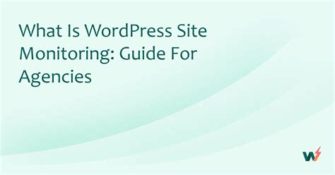 What Is Wordpress Site Monitoring Guide For Agencies Instawp