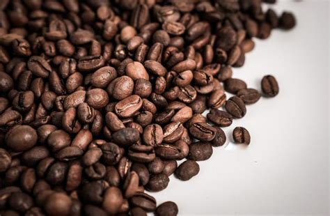 8种咖啡烘焙程度和口味的差异 知乎