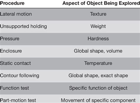 Exploratory Procedures Of Haptic Analysis Performed By The Download Scientific Diagram