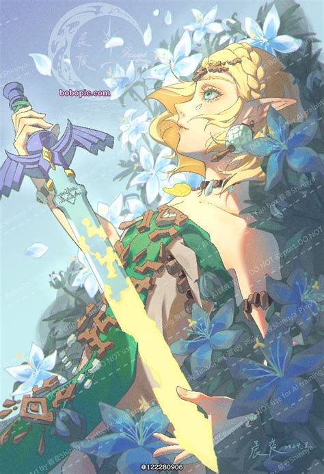 塞尔达传说 王国之泪 塞尔达 塞尔达公主 晨夜shinnyaillustration Pixivdaily