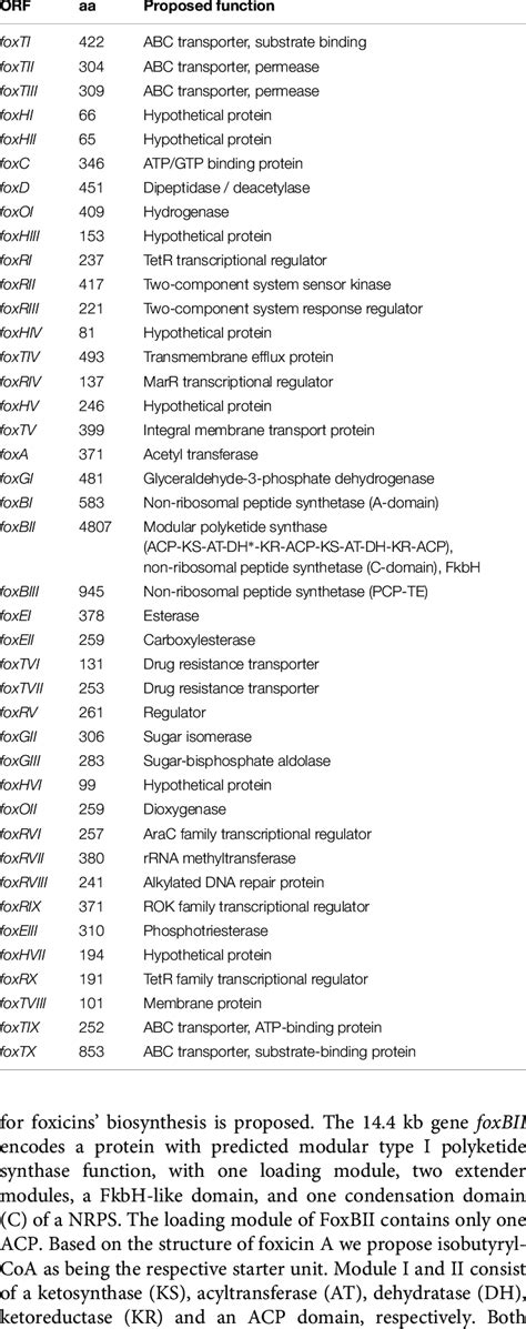 Proposed Functions Of Open Reading Frames In The Foxicin Biosynthetic Download Table