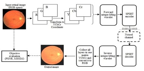 Block Diagram Showing The Principal Retinal Bv Image Compression Download Scientific Diagram