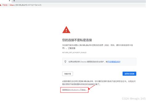 Linux 软件的安装与部署、web应用部署到阿里云redhat下面部署在webapps目录下的网站怎么打开 Csdn博客