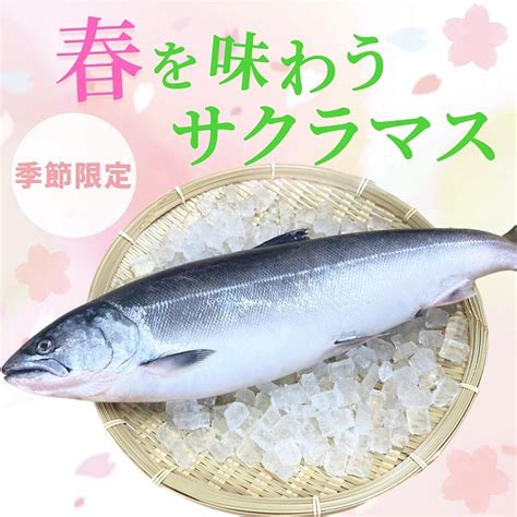 かに通販の根室杉山水産