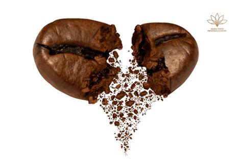 density particle density helena coffee vietnam