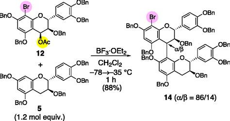 Oligomeric Catechins An Enabling Synthetic Strategy By Orthogonal