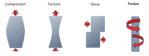 Compression Forces On The Spine Back Care Clinic