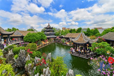 广州番禺：岭南文化薪火相传，文化产业蓬勃发展 财经头条