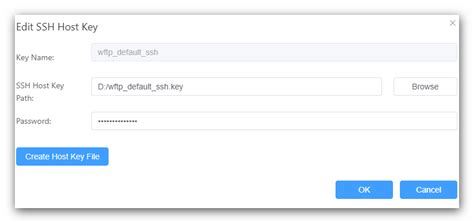Wing Ftp Server Help